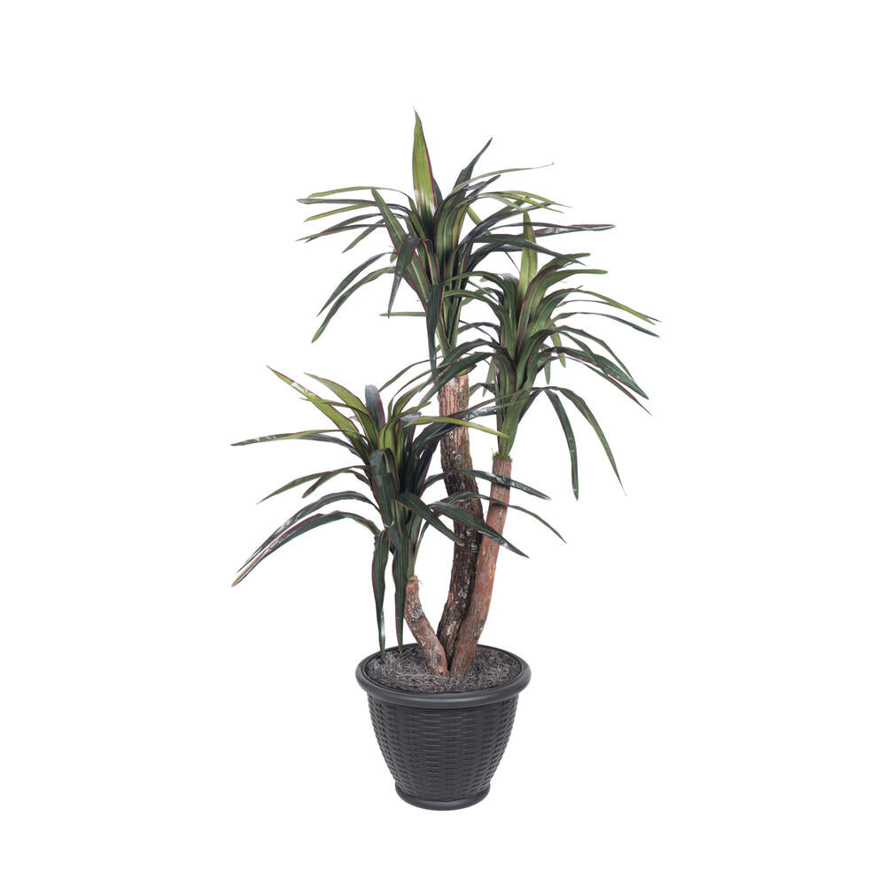 Vickerman 4' Artificial Marginata Extra Full Bush Gray Round Plastic ...